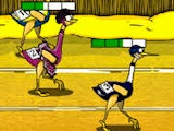 Big Birds Racing - Two Player Games
